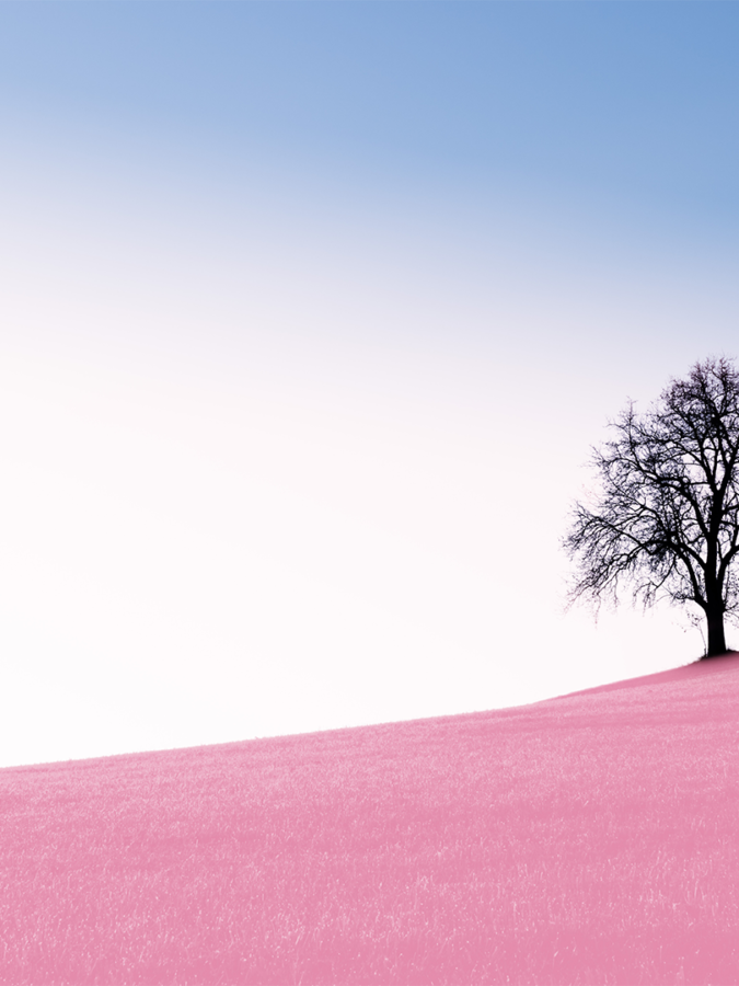 Atlassians products — Stretch Addera